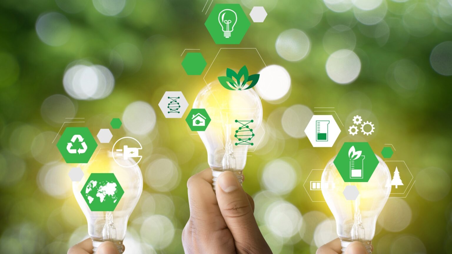 Sister Projects - BioFairNet